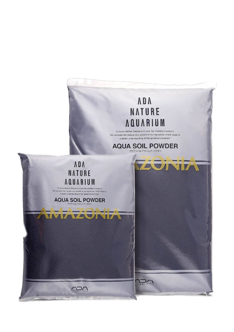 6 Ways to Make High Tech Planted Aquarium