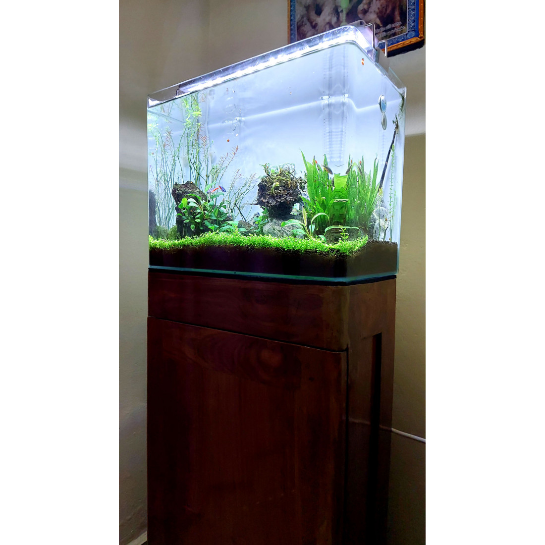 Curved Edge Aquarium Cabinets