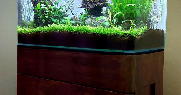 Curved Edge Aquarium Cabinets